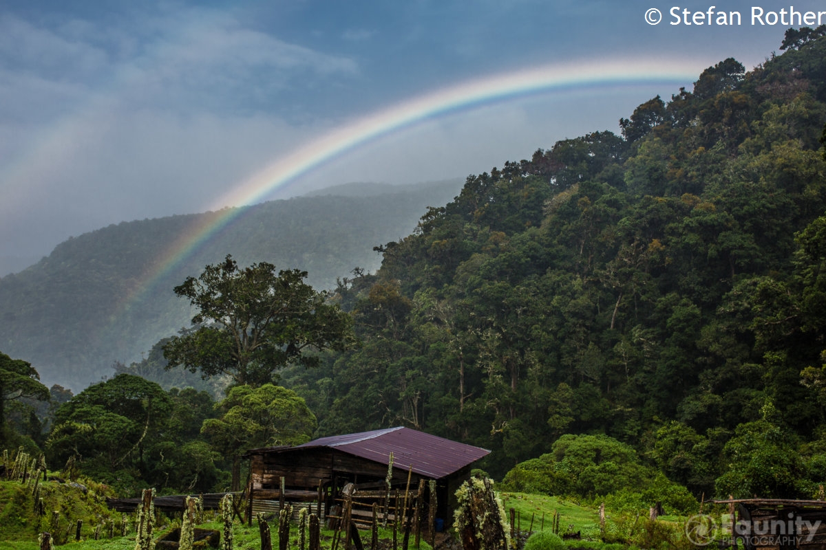 Round trip to rainforest conservation projects in Costa Rica • TROPICA ...